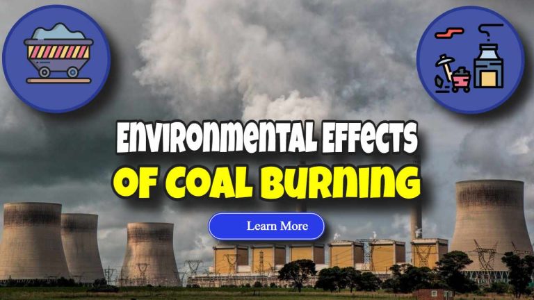 The Environmental Effects of Coal Burning on Air Land and Water